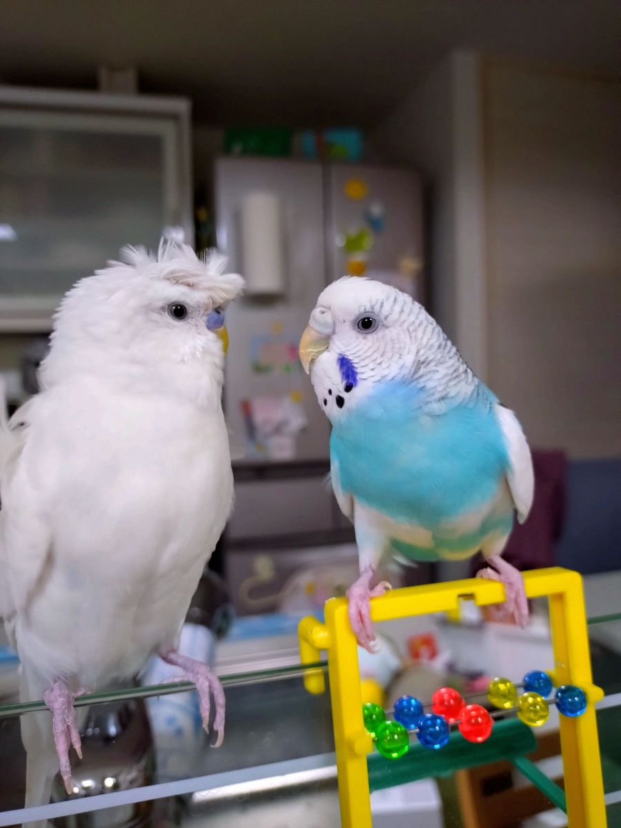 えっ？！ | GANREF