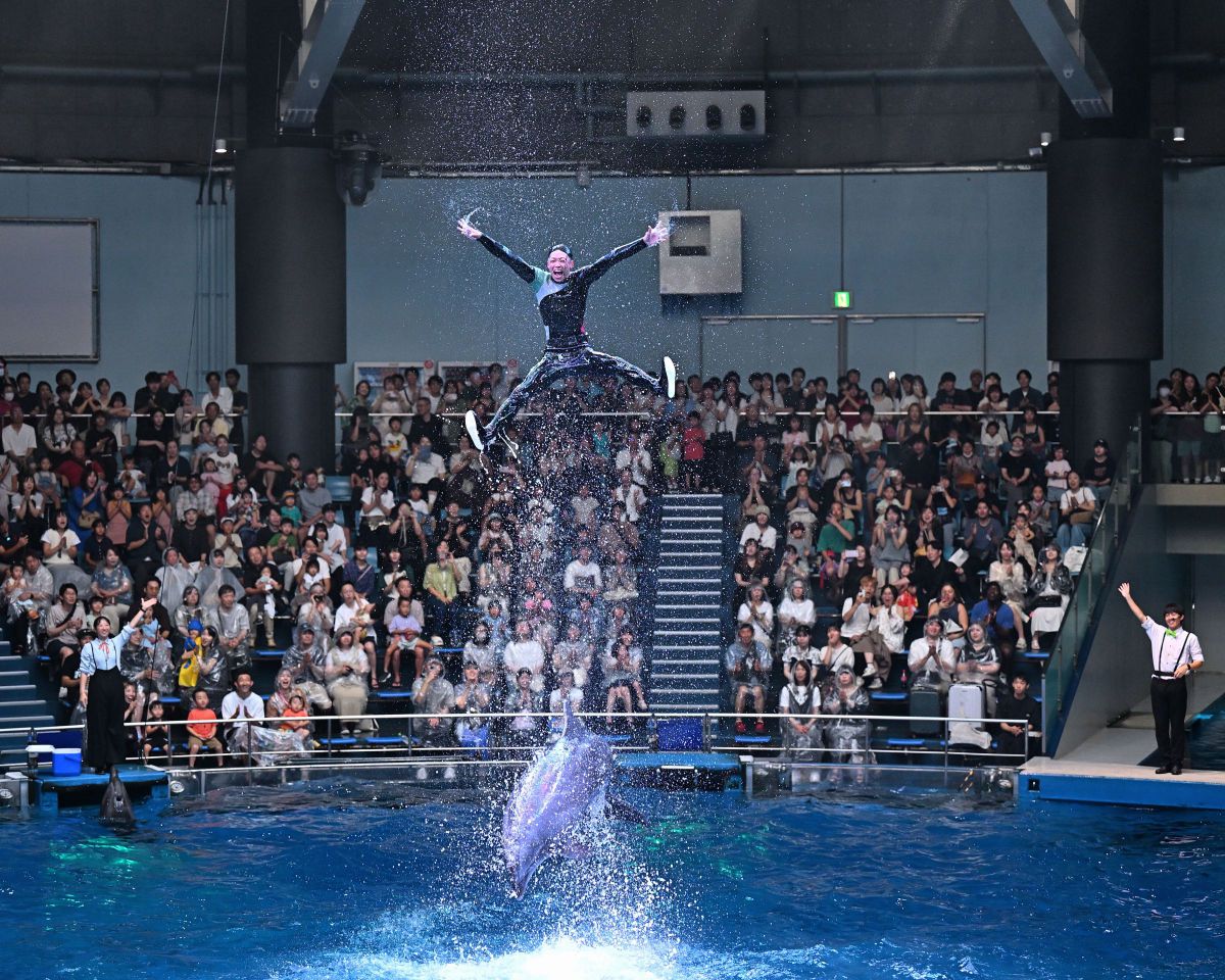 High Jump Performer | GANREF