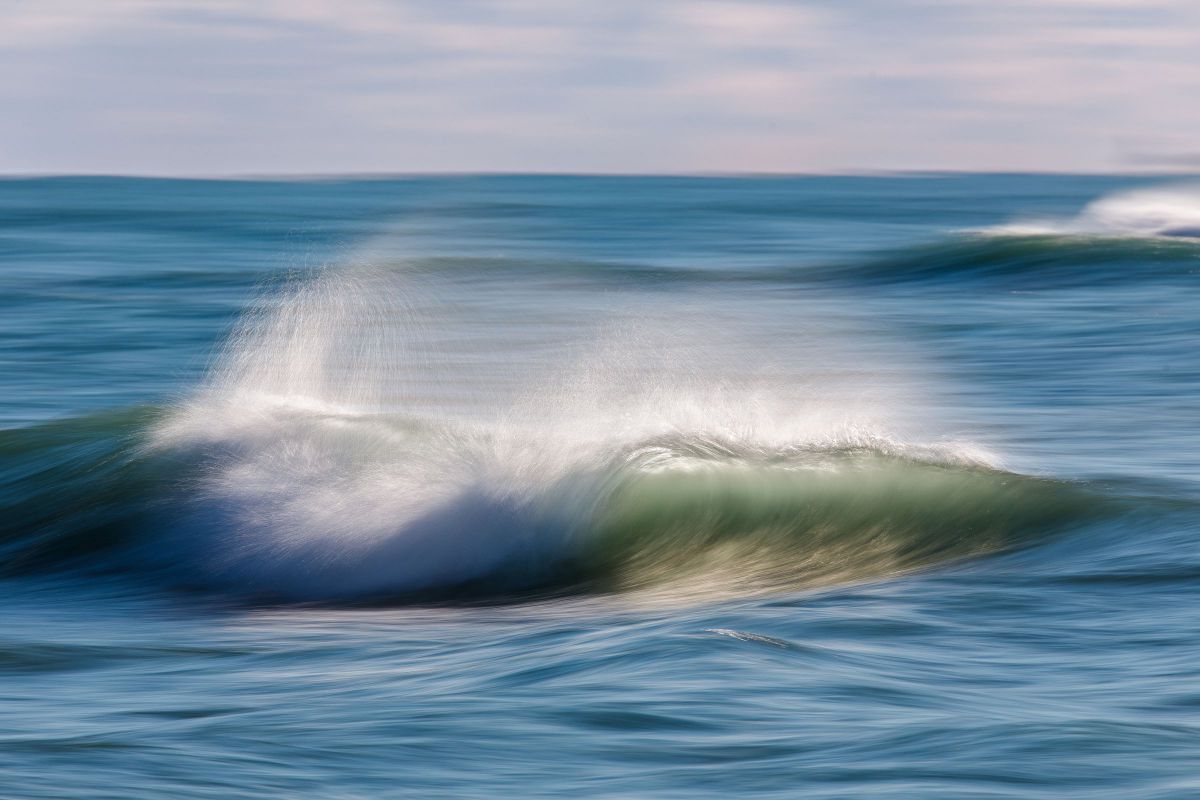 The first wave 2022 | GANREF