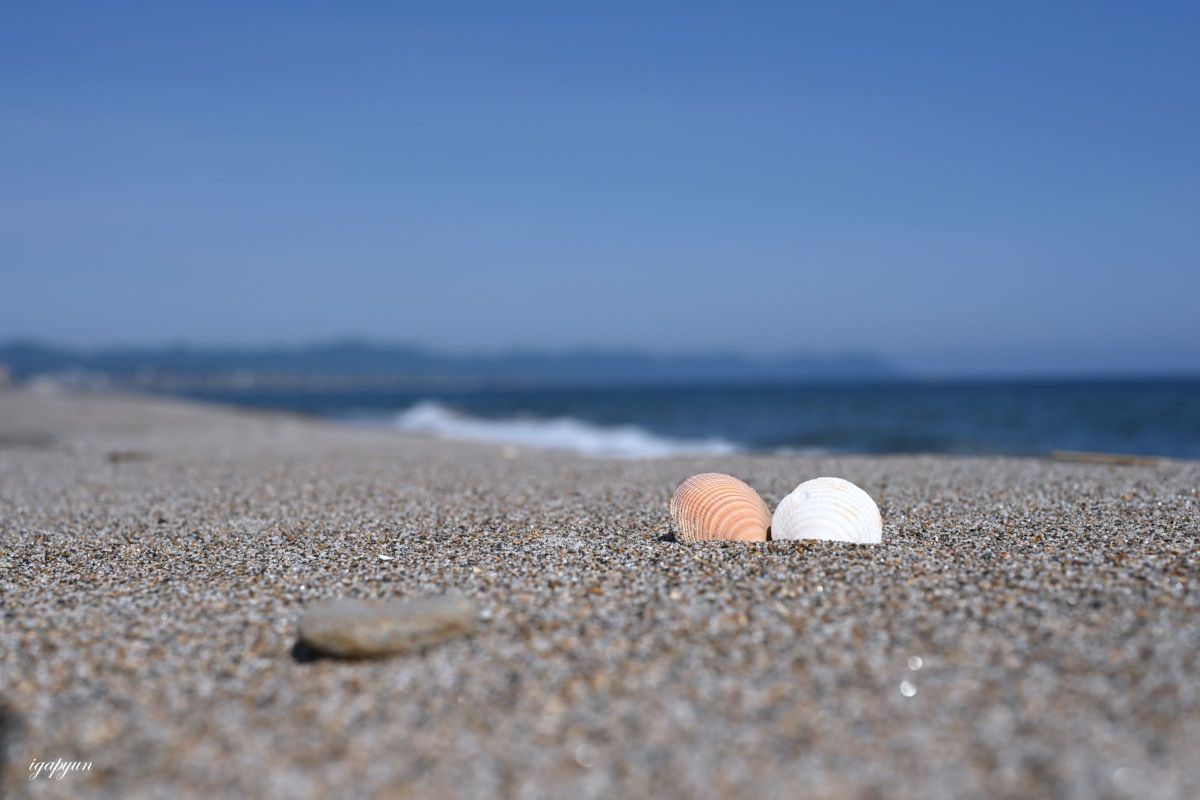 Summer Beach | GANREF