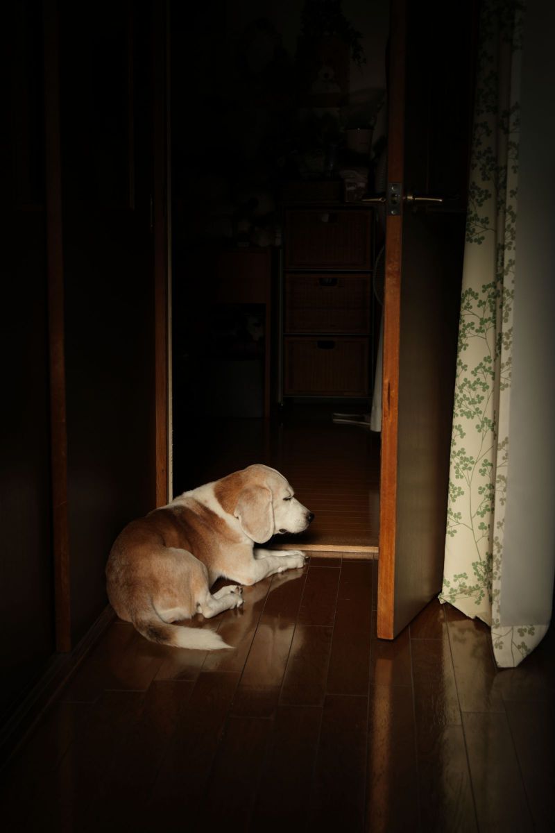 p.m.17：00 | GANREF