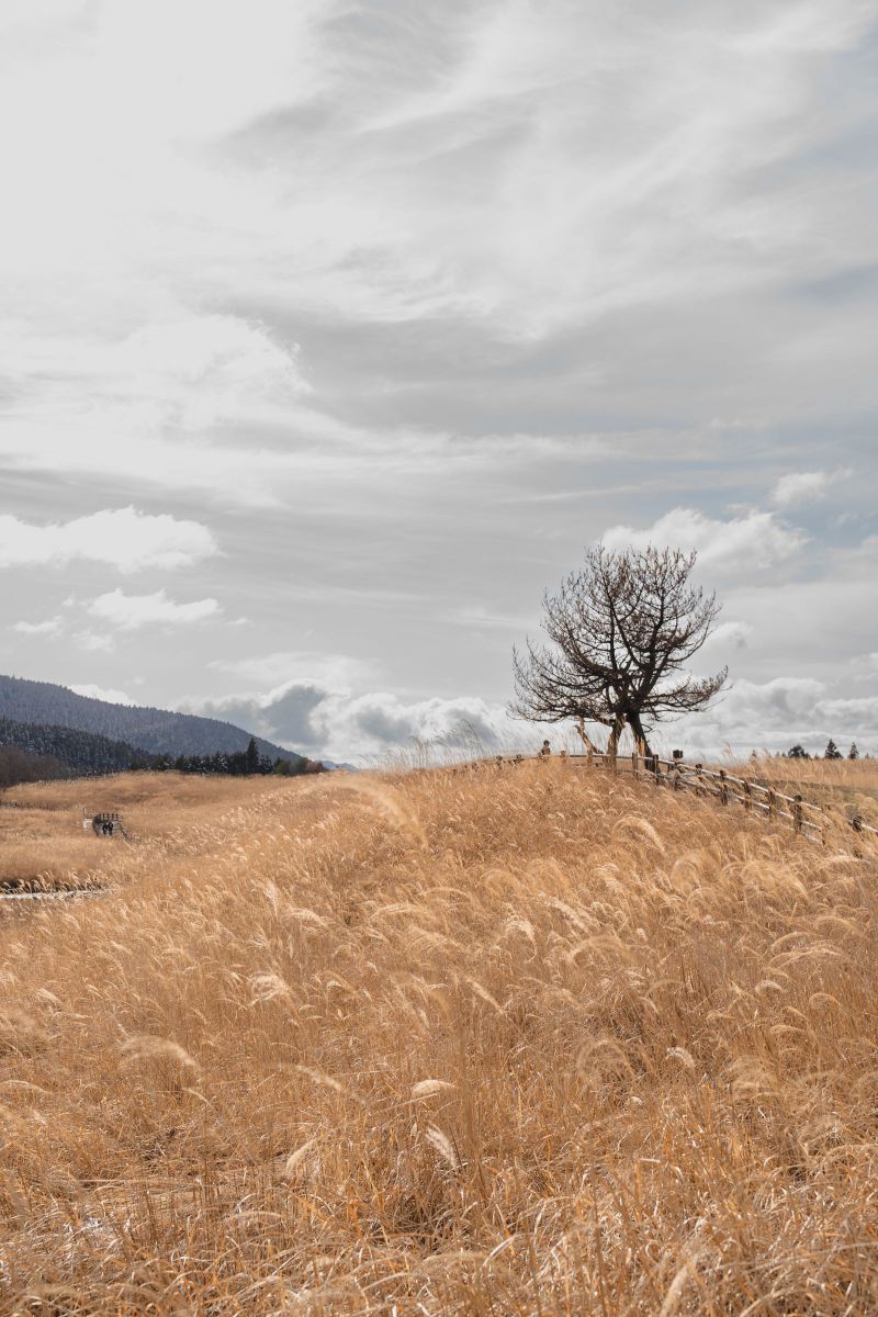 perfect world | GANREF