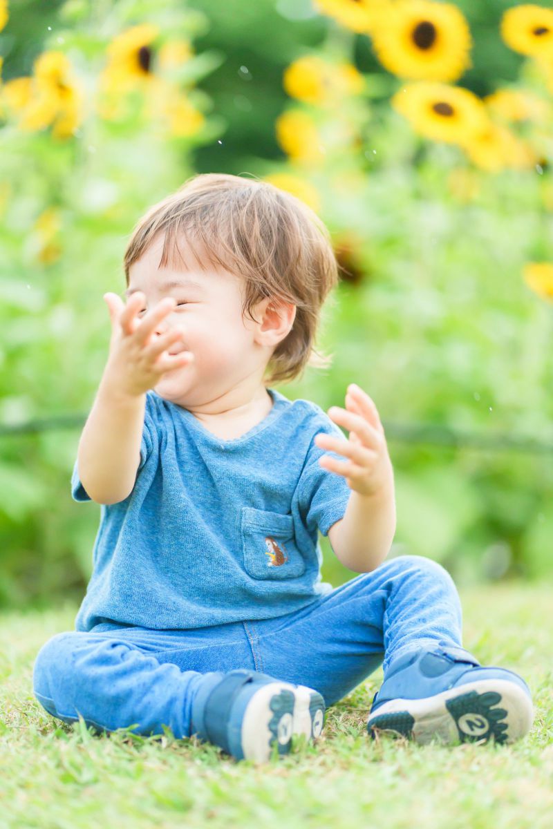 夕立とひまわり | GANREF