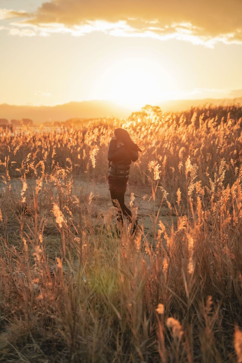 ノスタルジックな季節 | GANREF