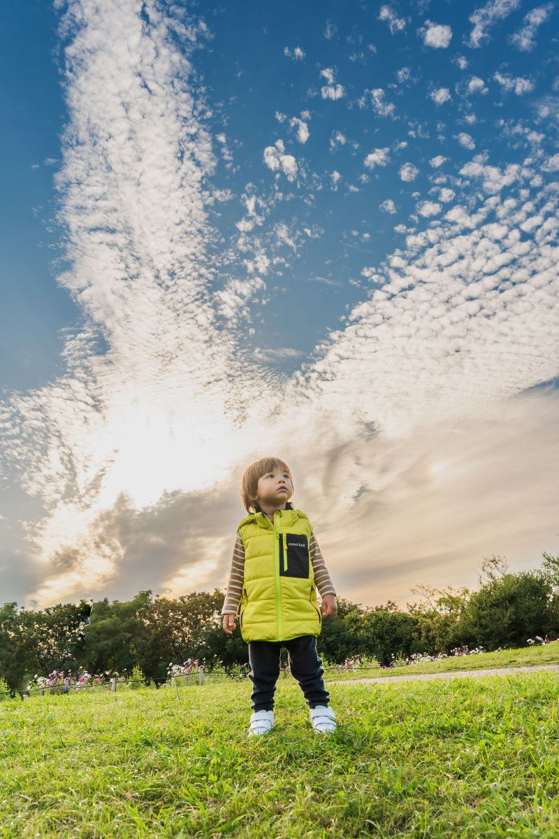 どんどん大きくなるね | GANREF