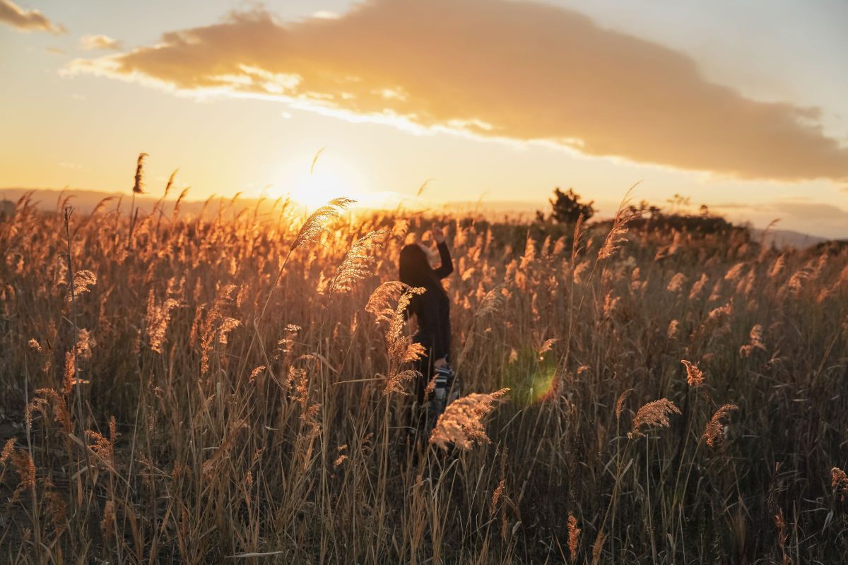 ノスタルジックに包まれて | GANREF