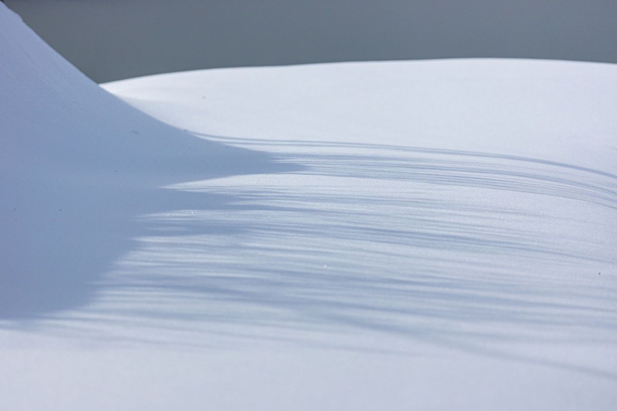 Snow Canvas | GANREF