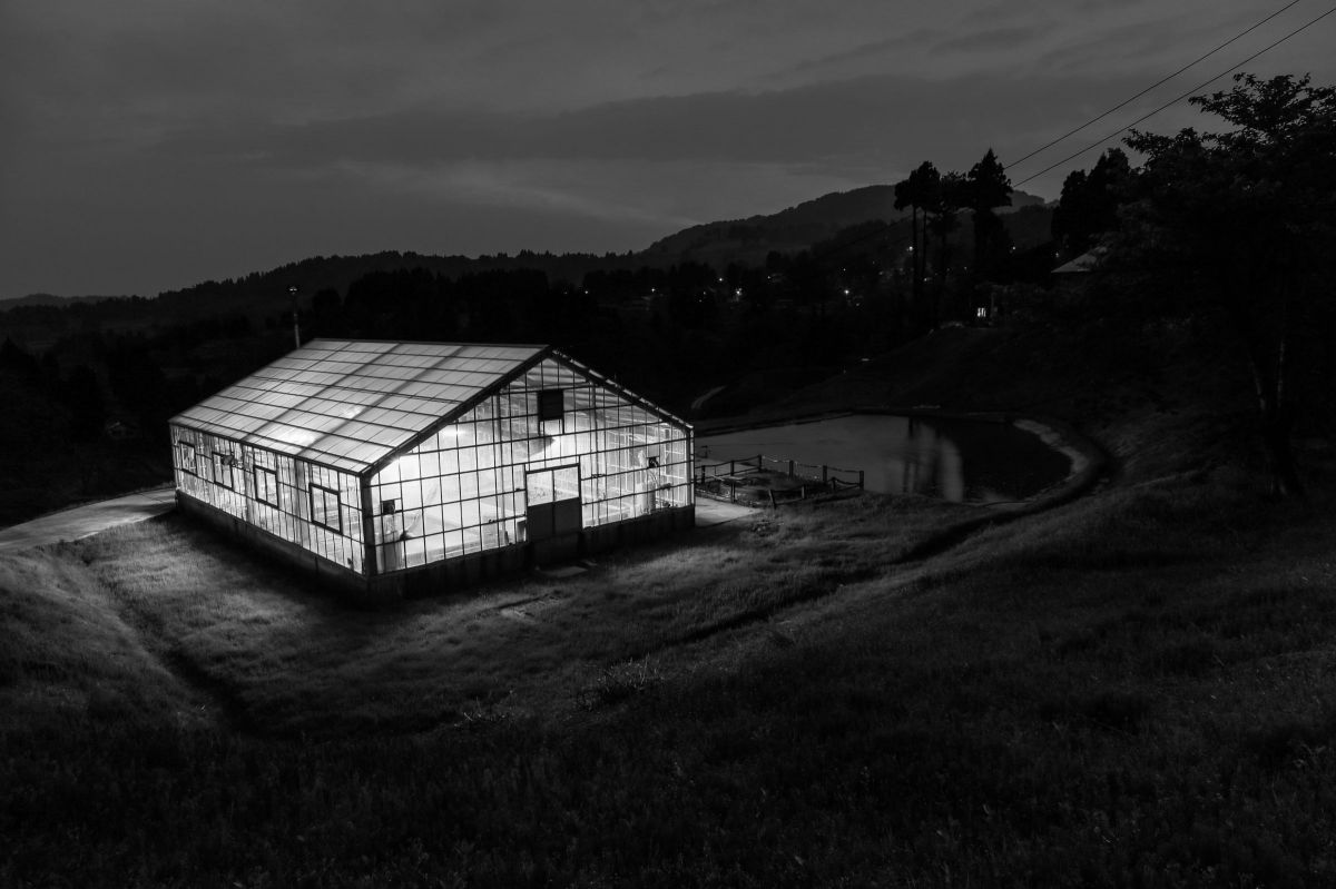 Nishikigoi House | GANREF