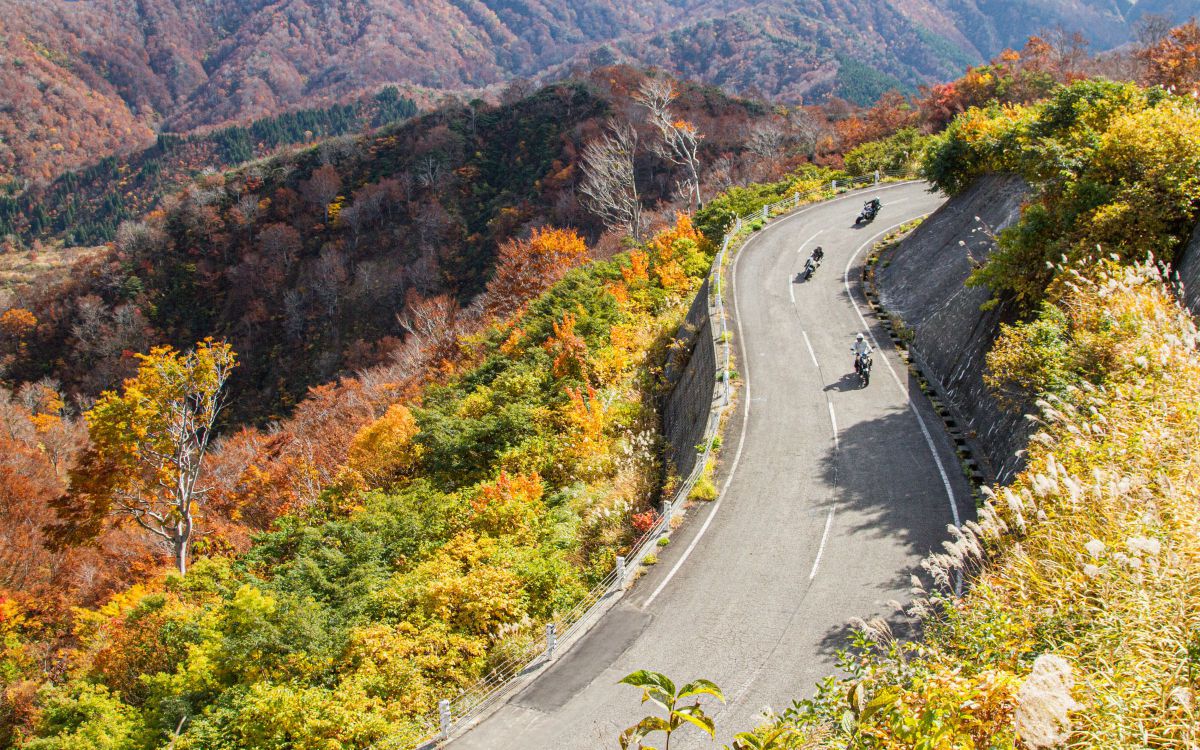 Winding Road | GANREF