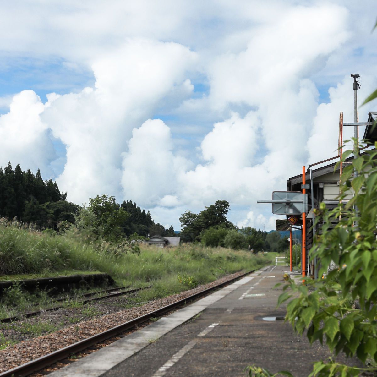 Goodbye Summer | GANREF