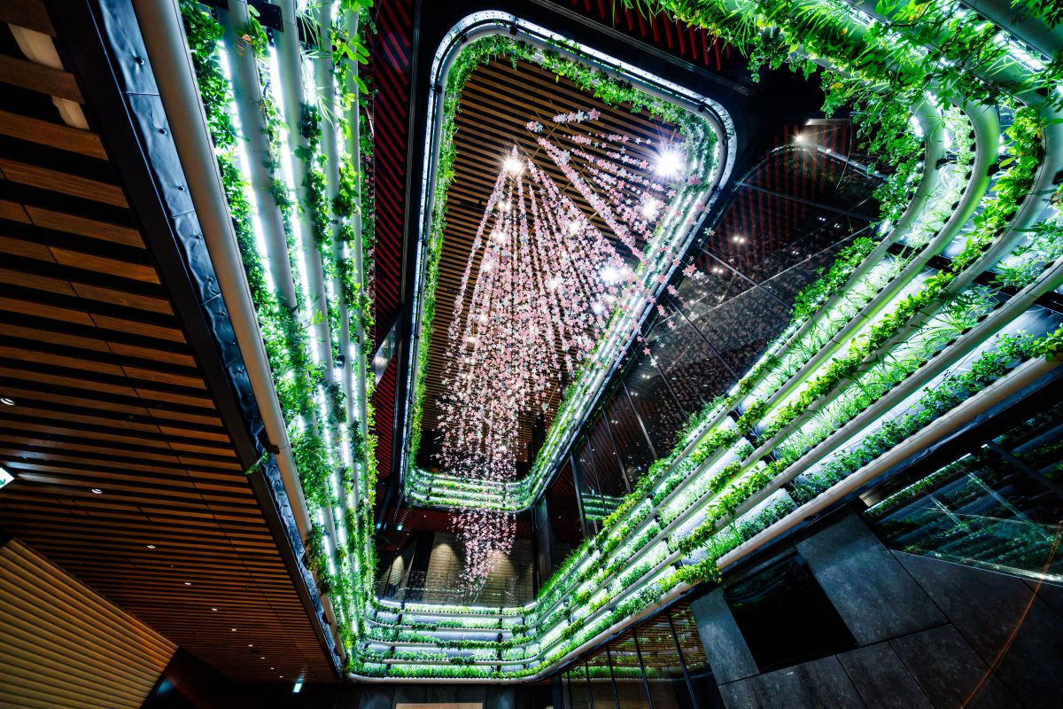 HANASAKA SQUARE | GANREF