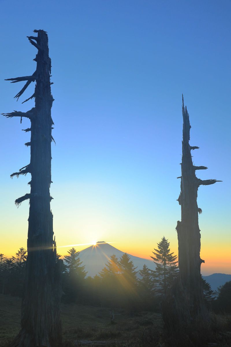 ズレてしまった | GANREF