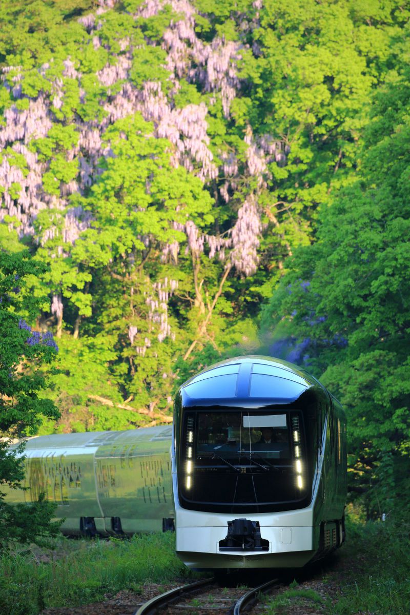 四季島と藤の花 | GANREF