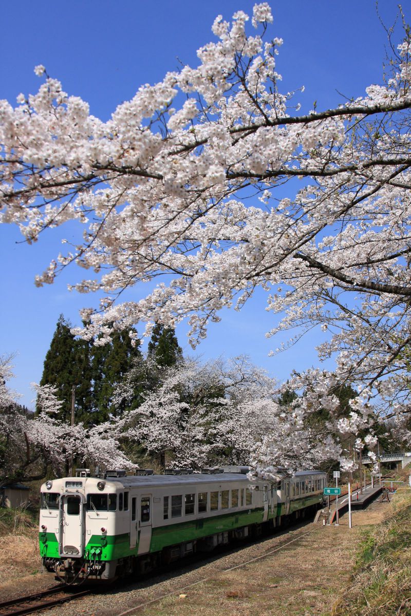 奥会津の桜の駅 | GANREF