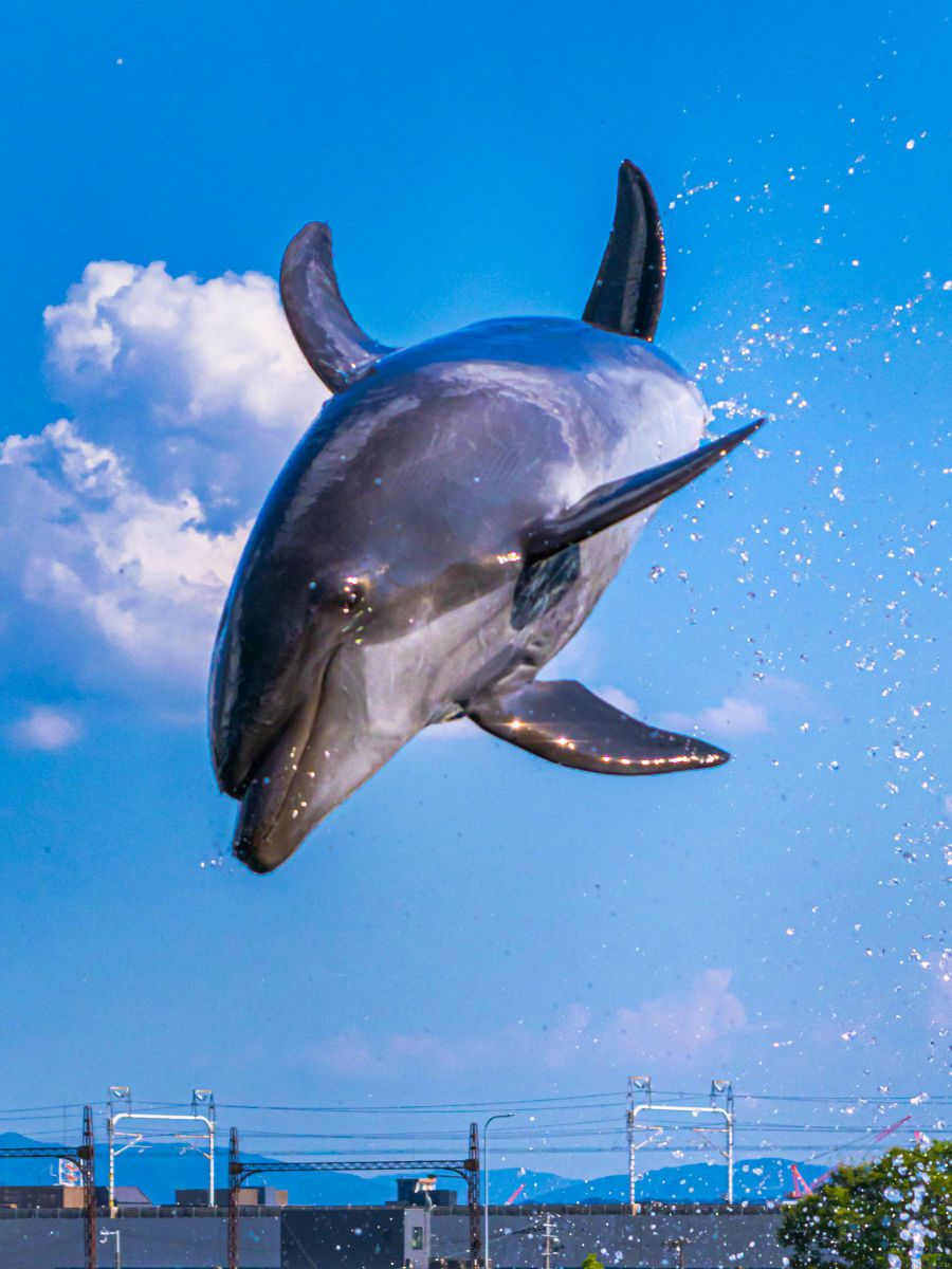 High jump out ！」 | GANREF