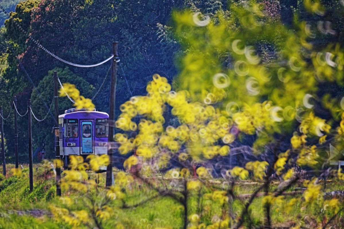 Reflex point of view 2 | GANREF