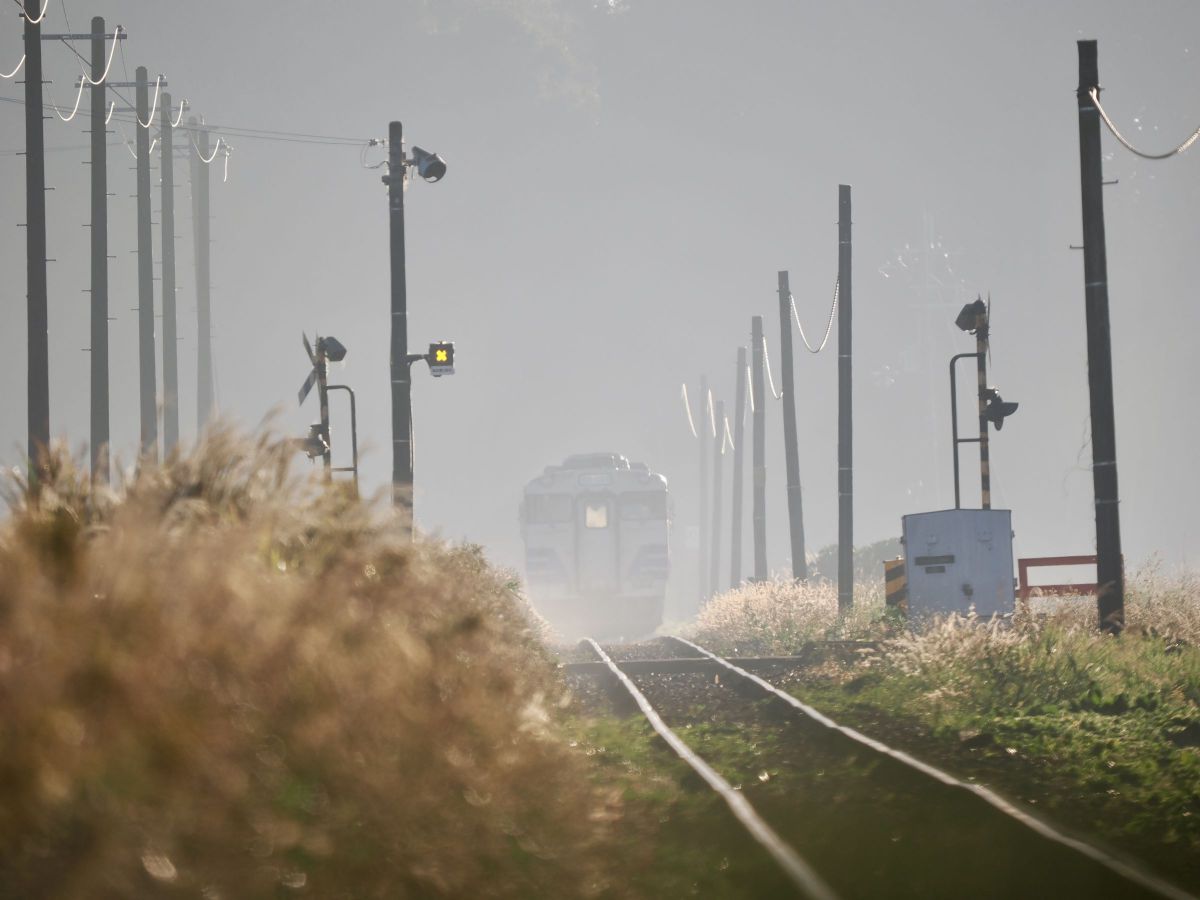 朝霧とキハ40 | GANREF