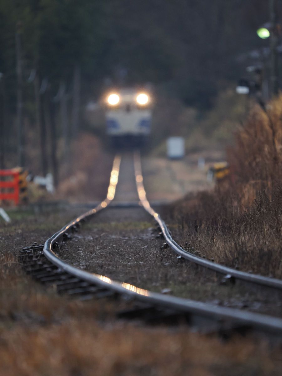 aesthetics of distortion | GANREF