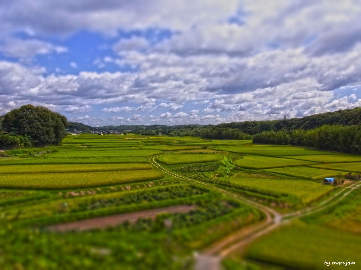 one sunny day | GANREF