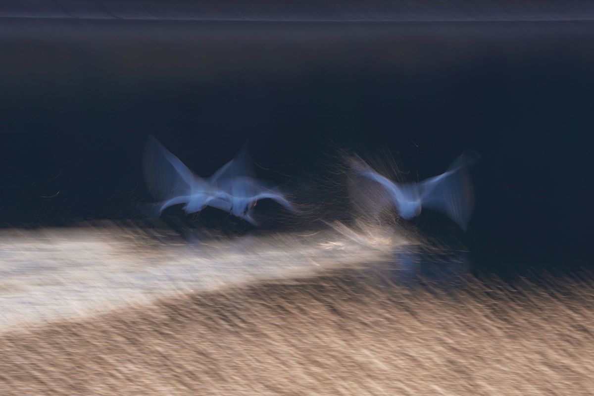 beautiful landing | GANREF