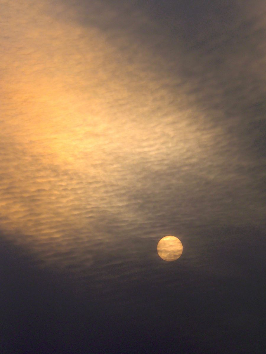 Like a phantom | GANREF