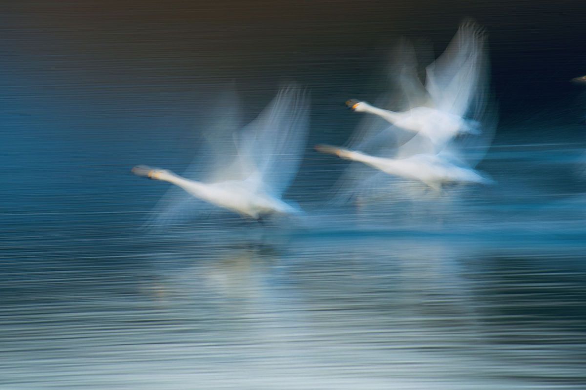 time of memories 2012 | GANREF