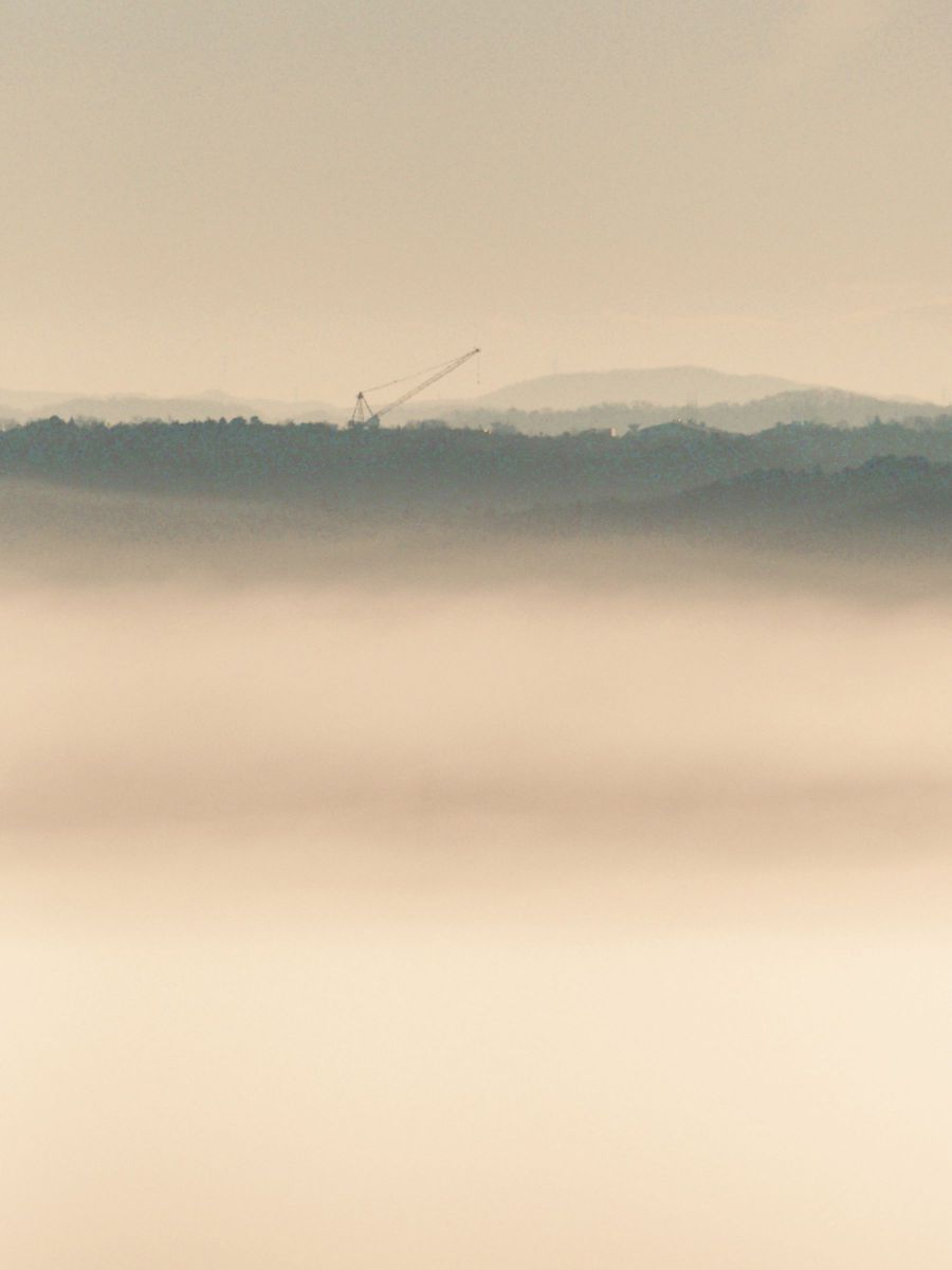 wrapped in morning mist 2023-5 | GANREF