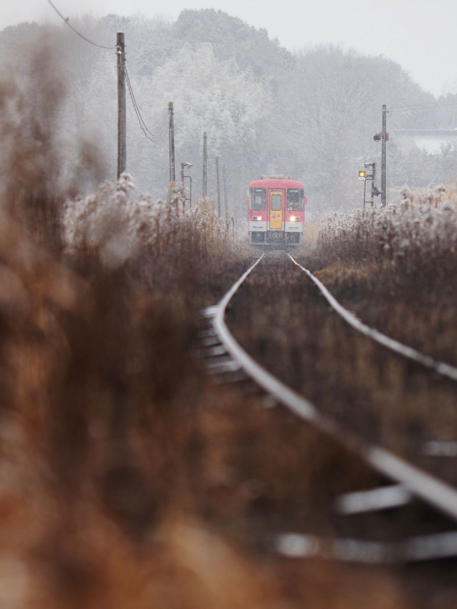 powder snow1/27-2 | GANREF