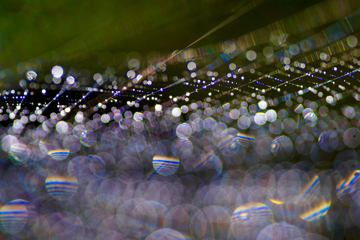 after the rain | GANREF