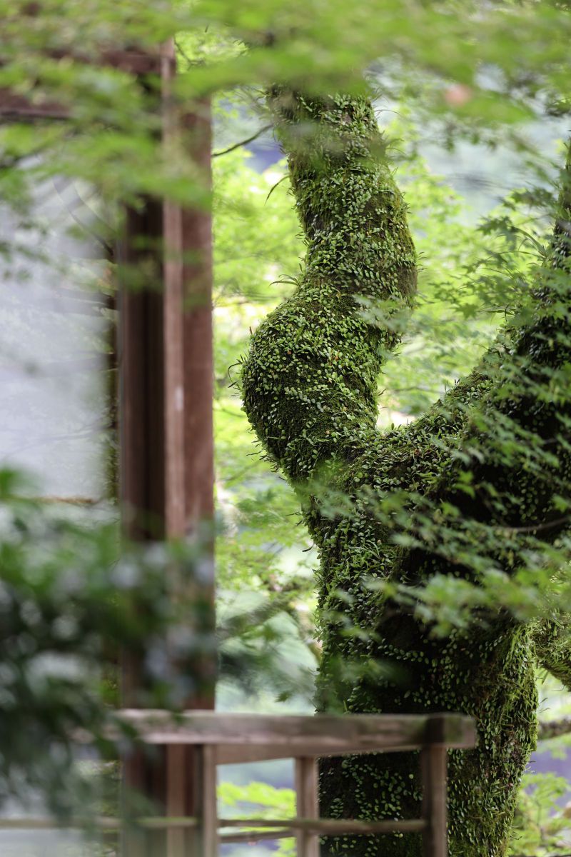 summer hotel zone | GANREF