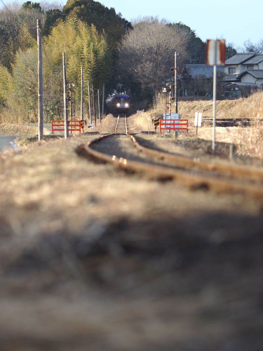 perspective perspective | GANREF