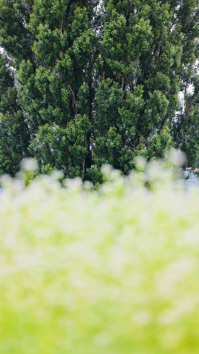 Hokkaidōkankō 2023/7−39 | GANREF