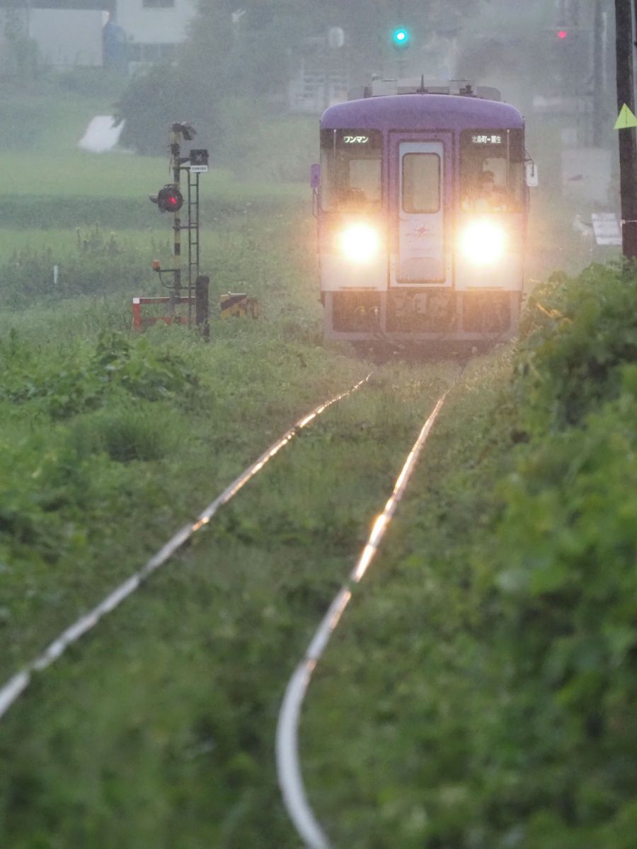 September In The Rain | GANREF