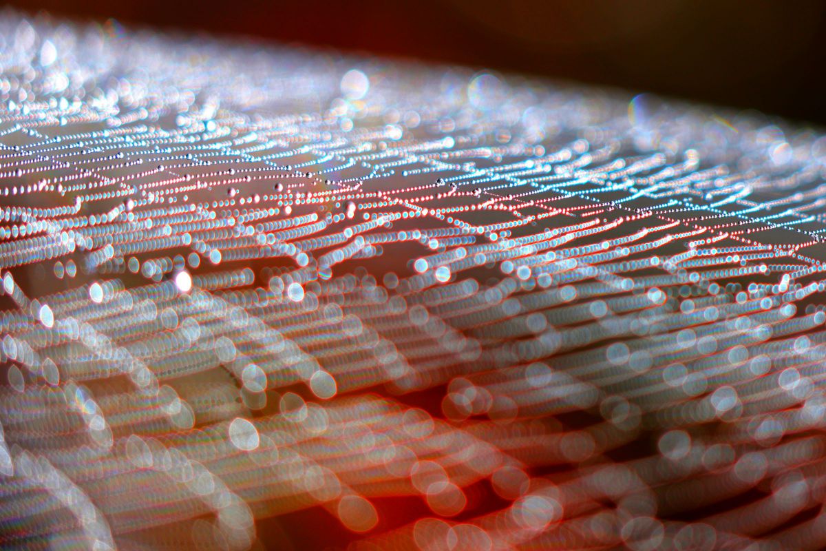 created net 3 | GANREF