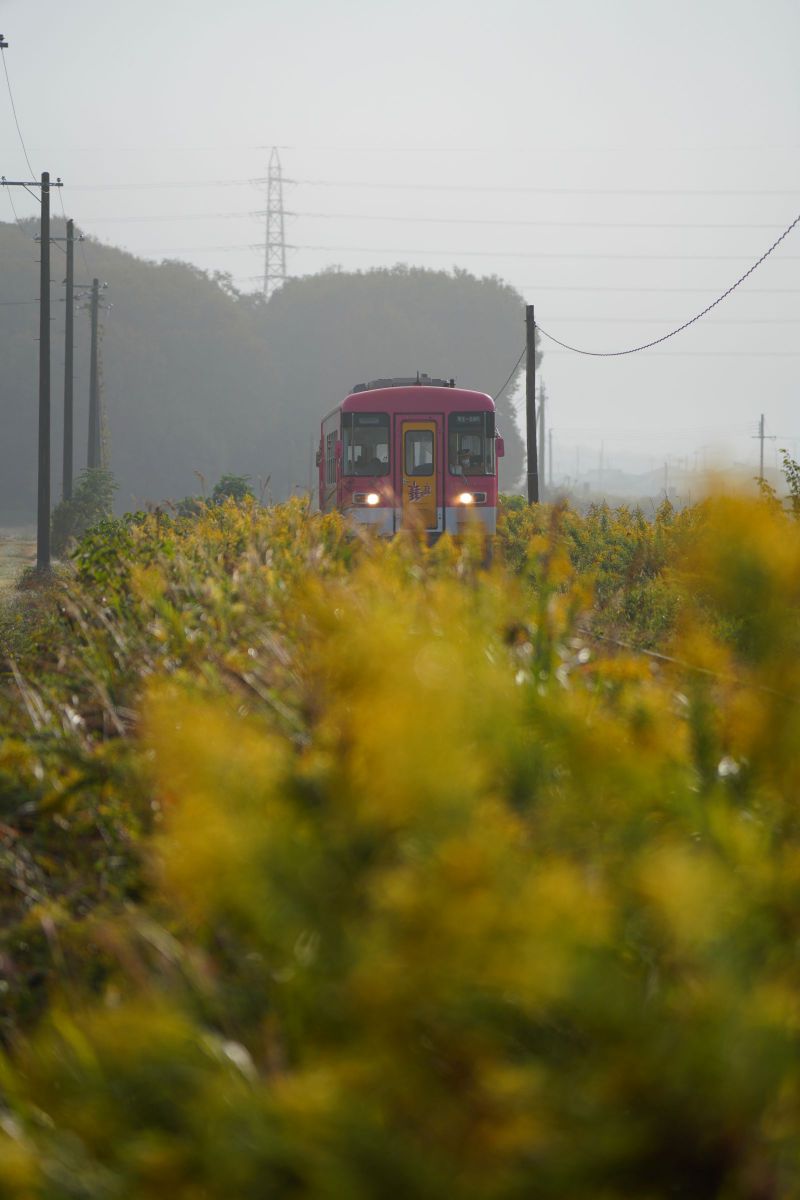 静かな朝 10/28 | GANREF