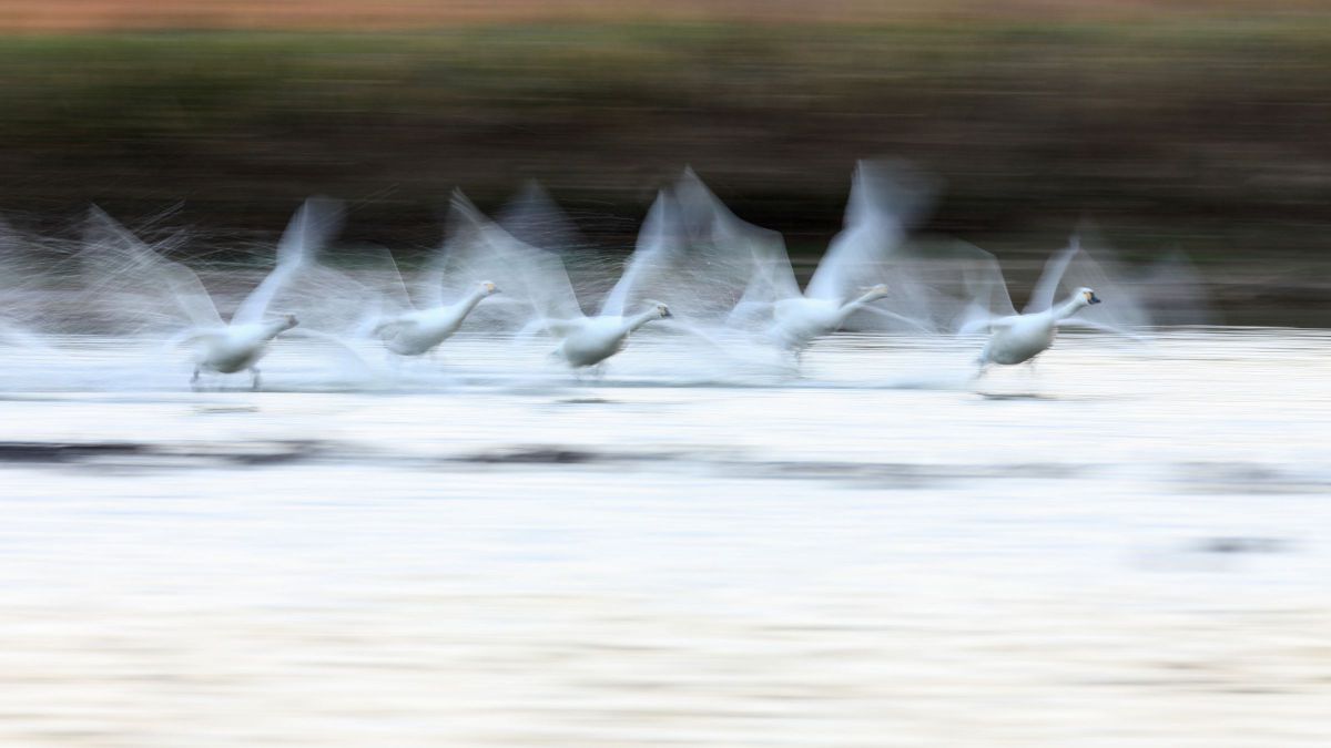 time of memories 2009 | GANREF