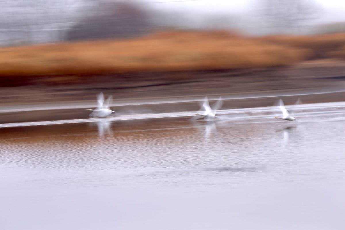 To the windy road | GANREF