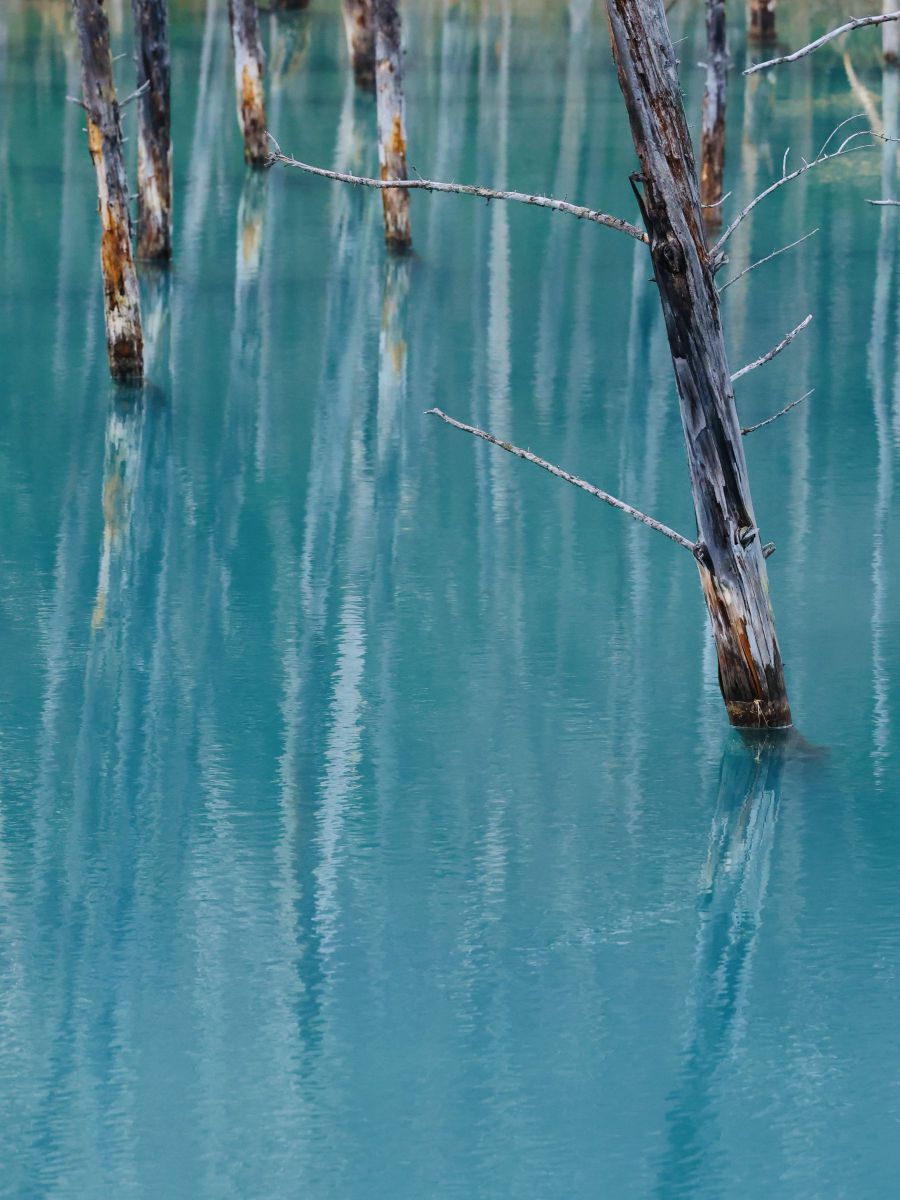 beautiful blue | GANREF