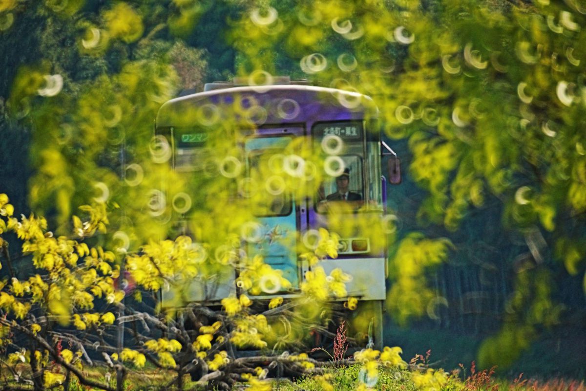 Reflex point of view | GANREF