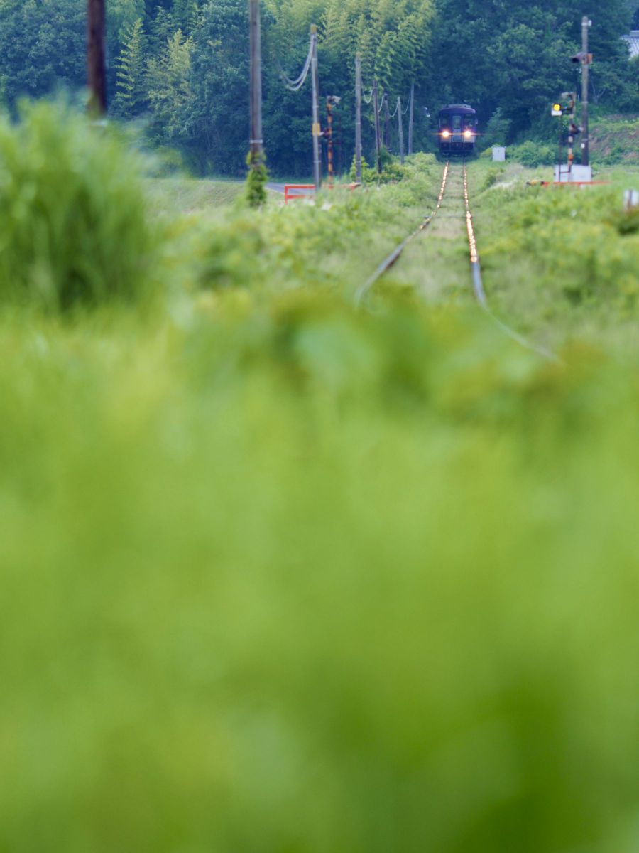 Local in the rainy season 6/16 | GANREF