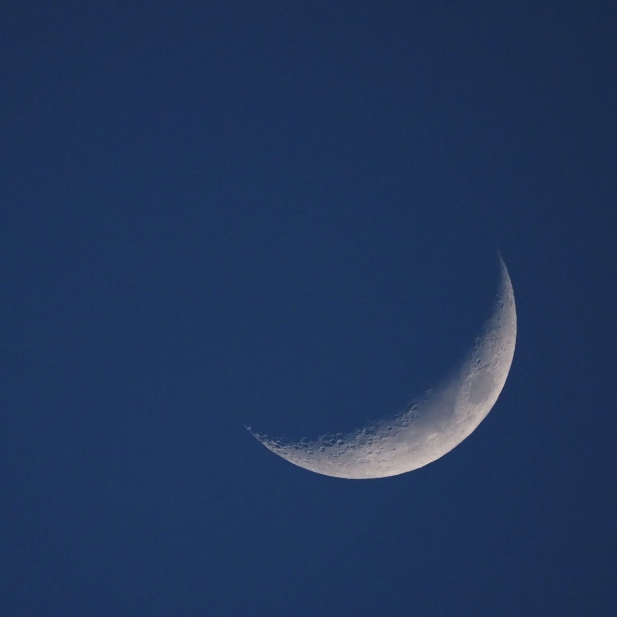 eternal moon | GANREF