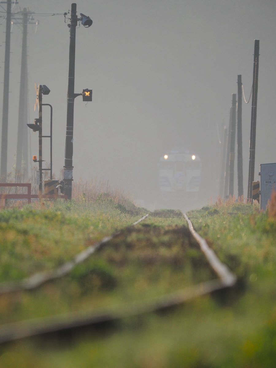 Early summer morning mist | GANREF