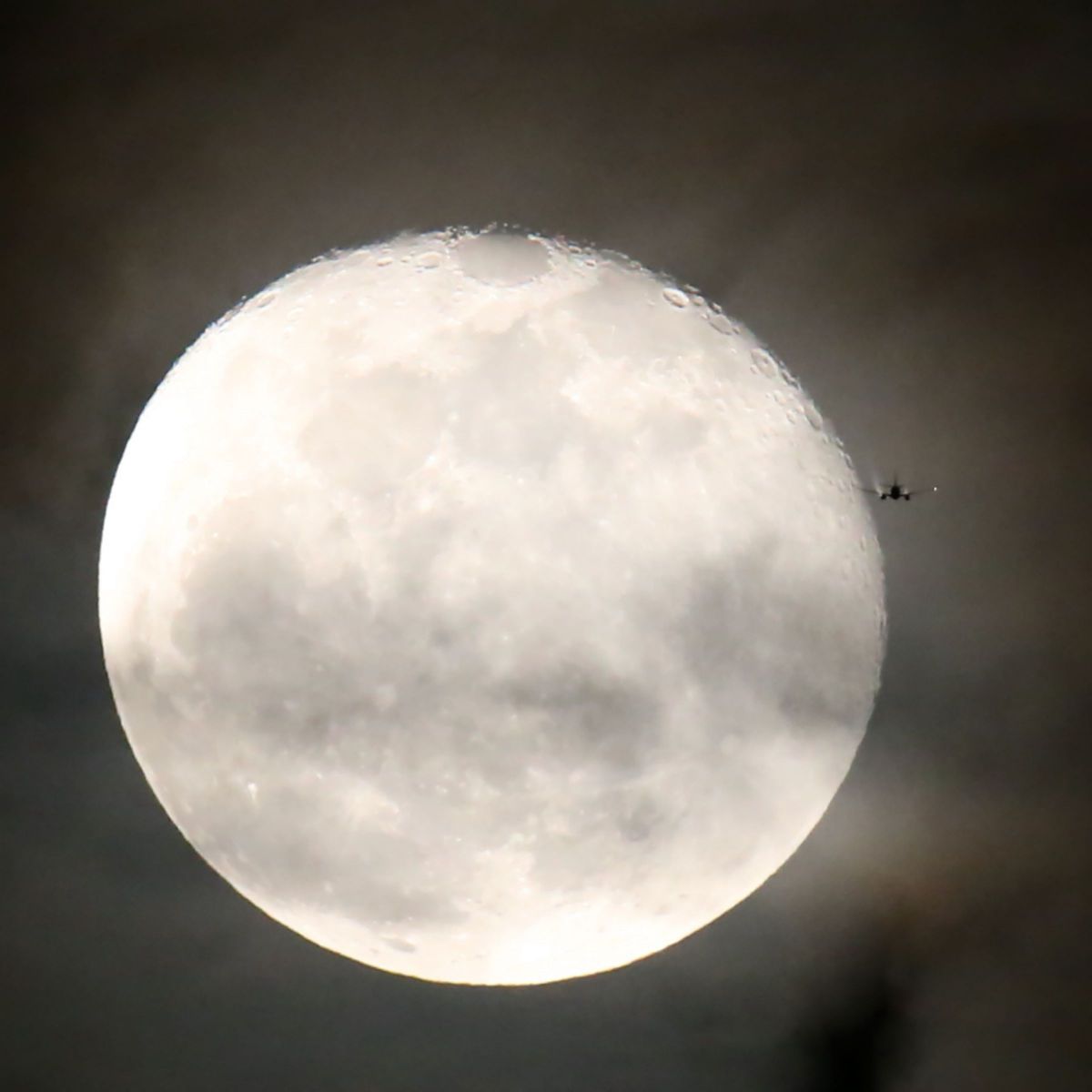 the day i went to the moon | GANREF