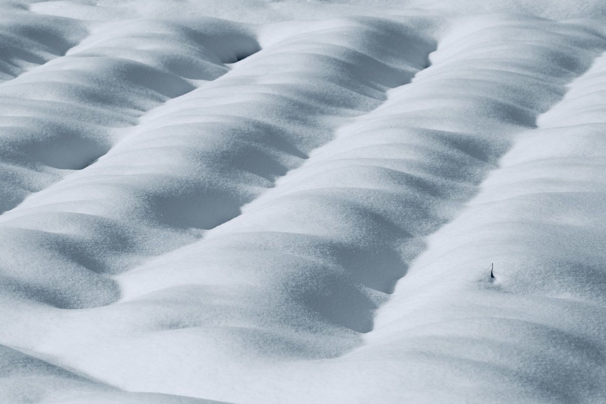 seasonal shapes | GANREF