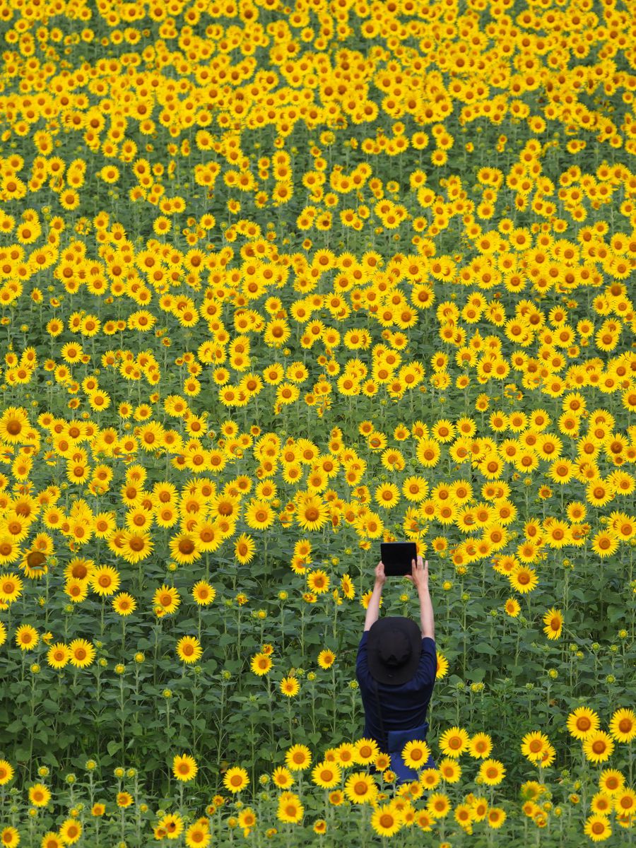 overflowing summer face 4 | GANREF