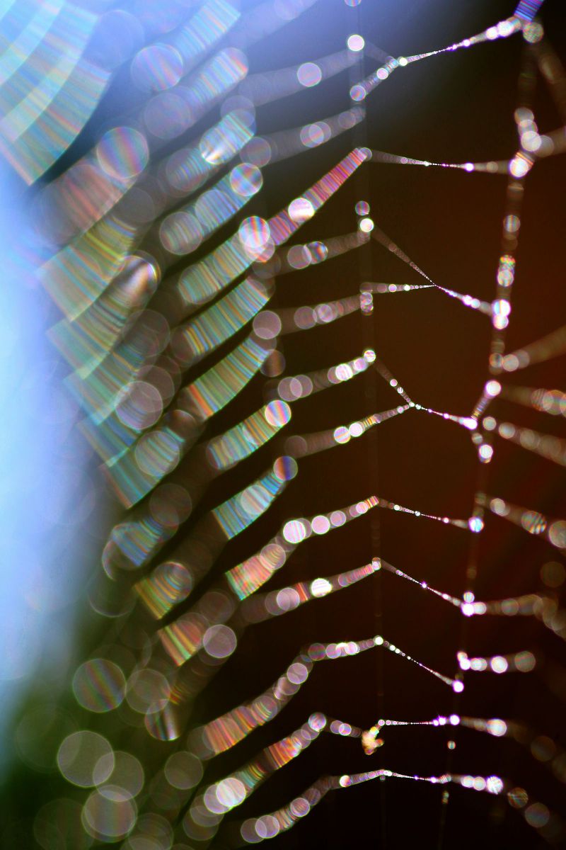 rhythmic rainbow 2 | GANREF