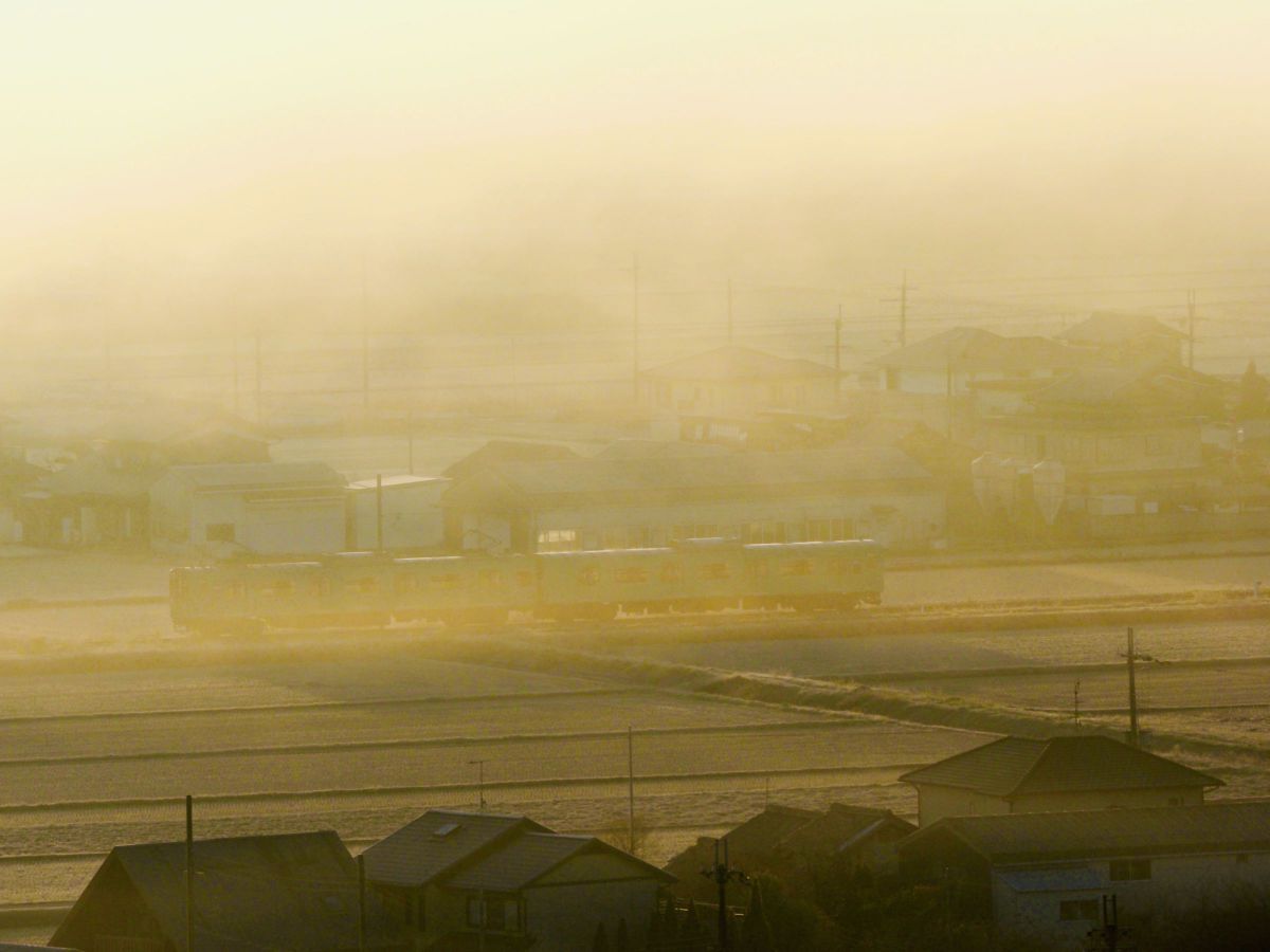 wrapped in morning mist 2023-4 | GANREF