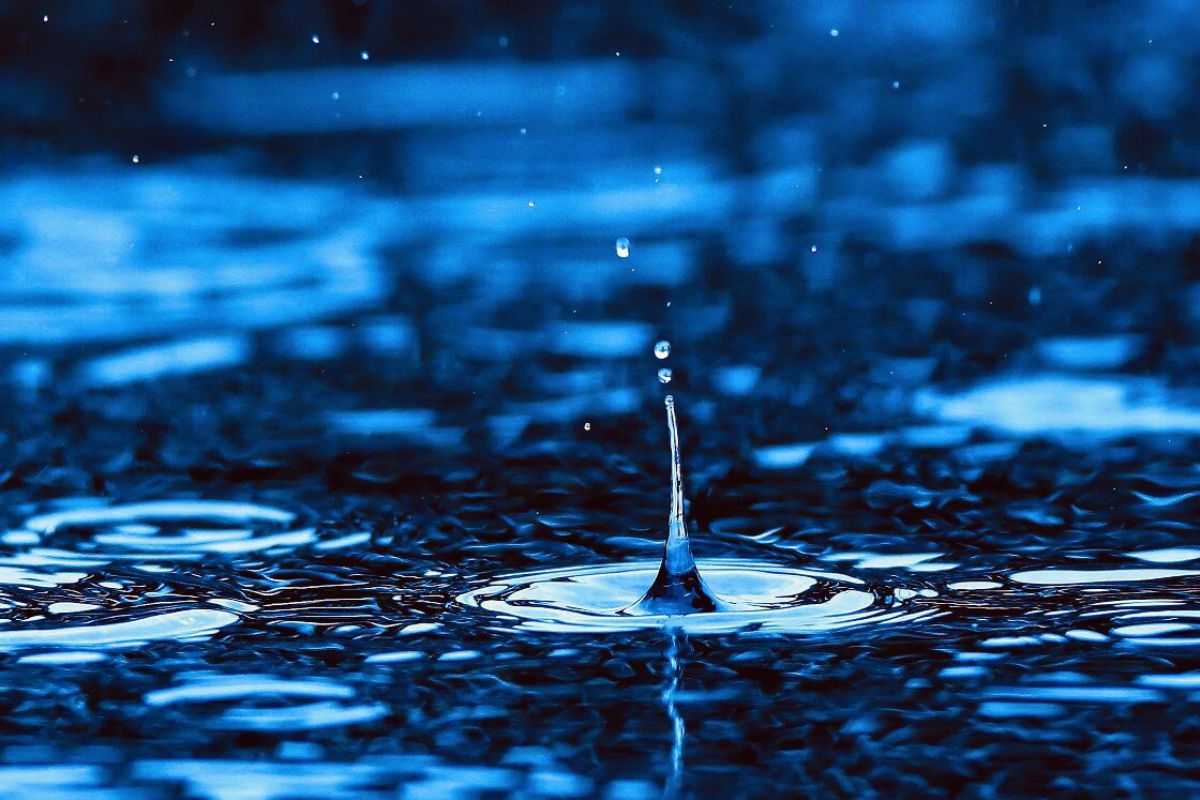 power of rain | GANREF