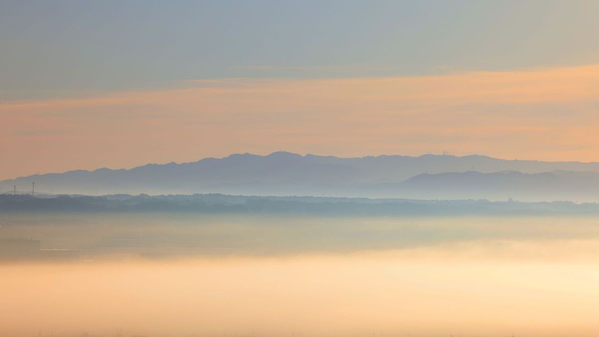 wrapped in morning mist 2023-3 | GANREF