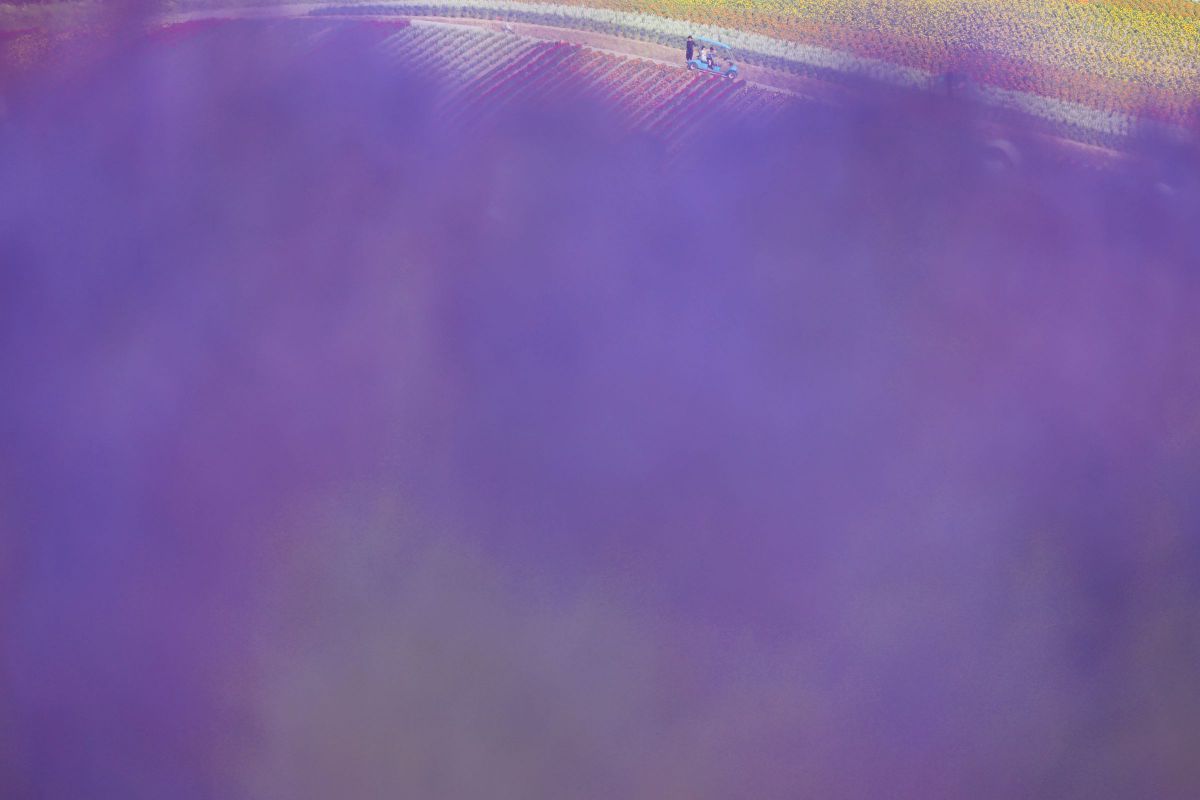 Hokkaidōkankō 2023/7-46 | GANREF